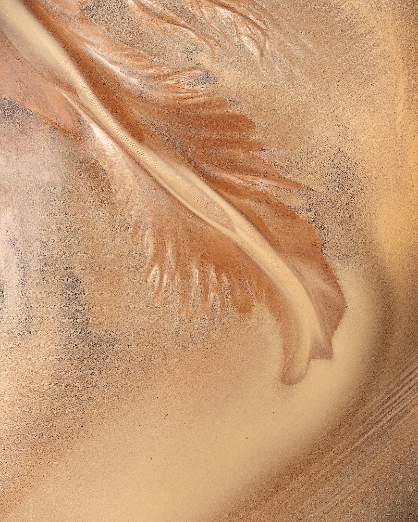 Australian Photographic Prize 2022 - Finalist – Tim Wrate Photography