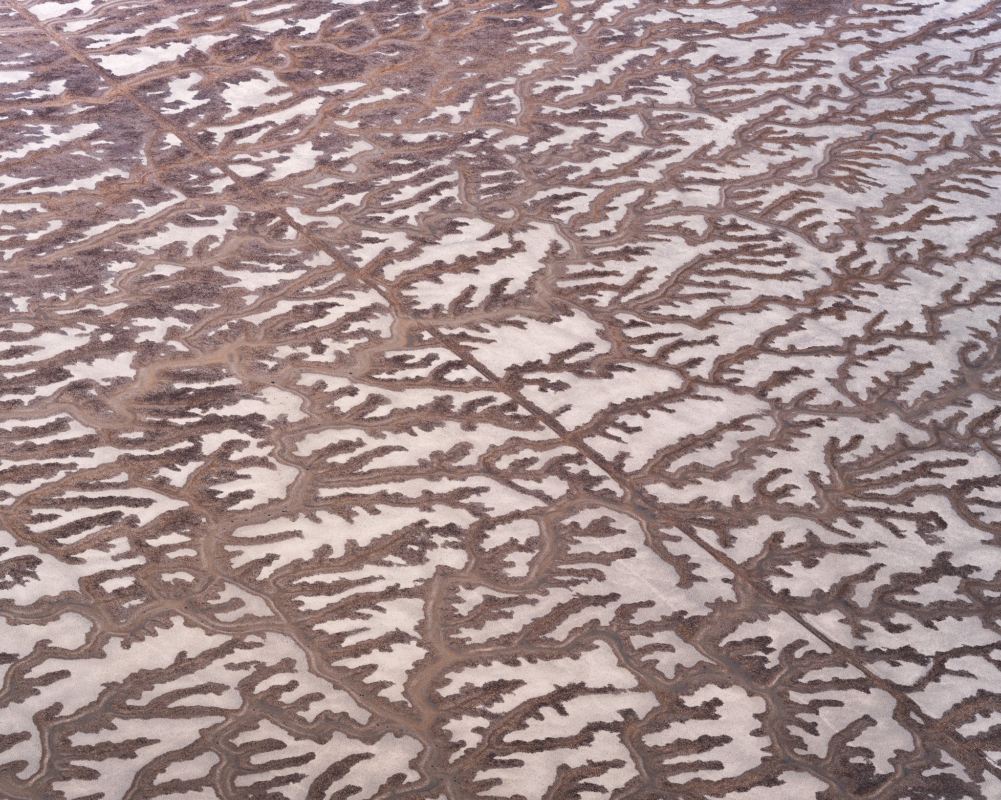 Channel Country – Tim Wrate Photography