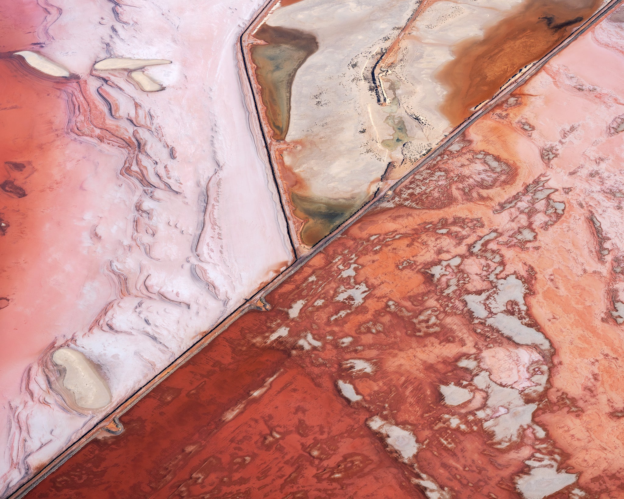 Marbled – Tim Wrate Photography