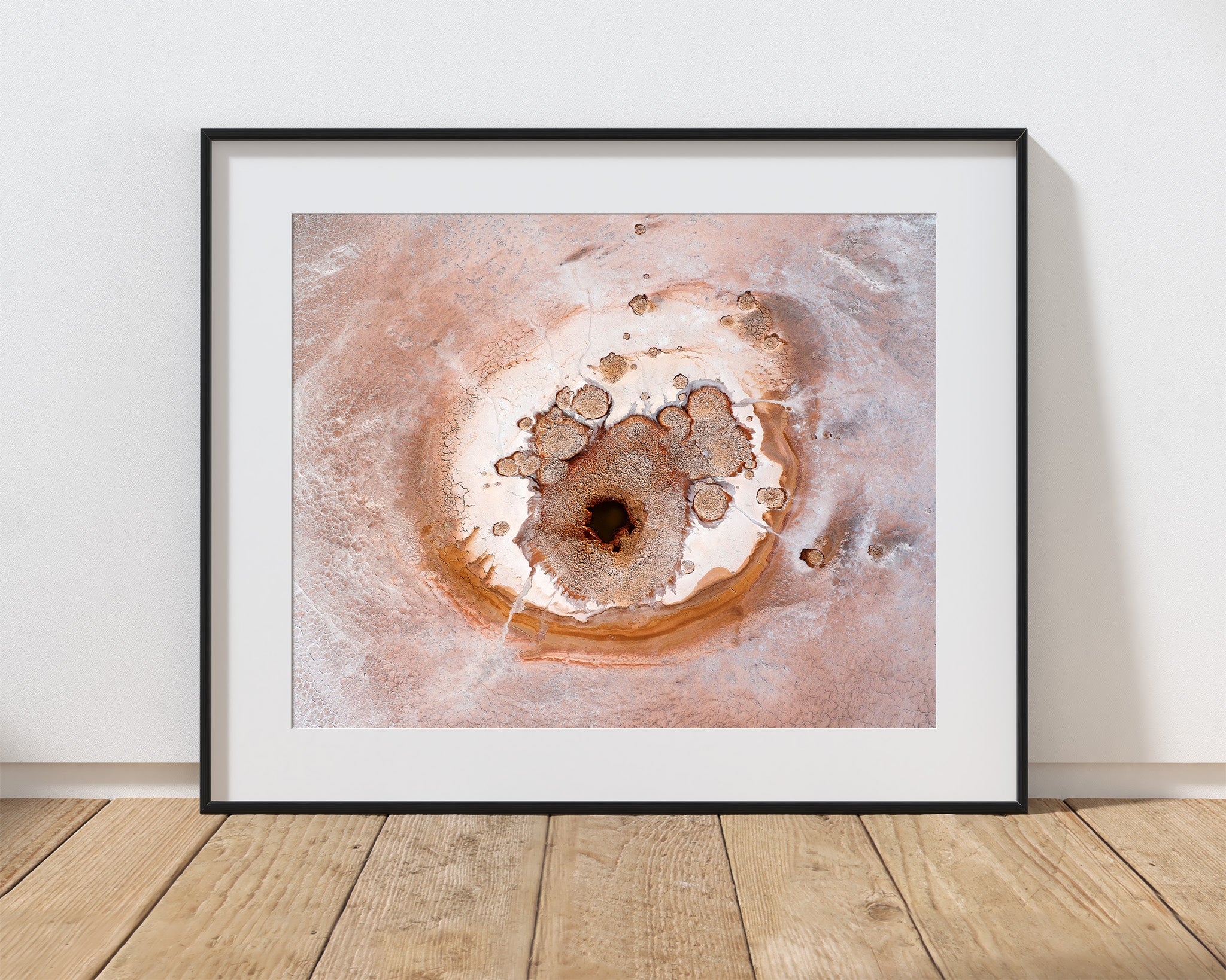 Salis – Tim Wrate Photography