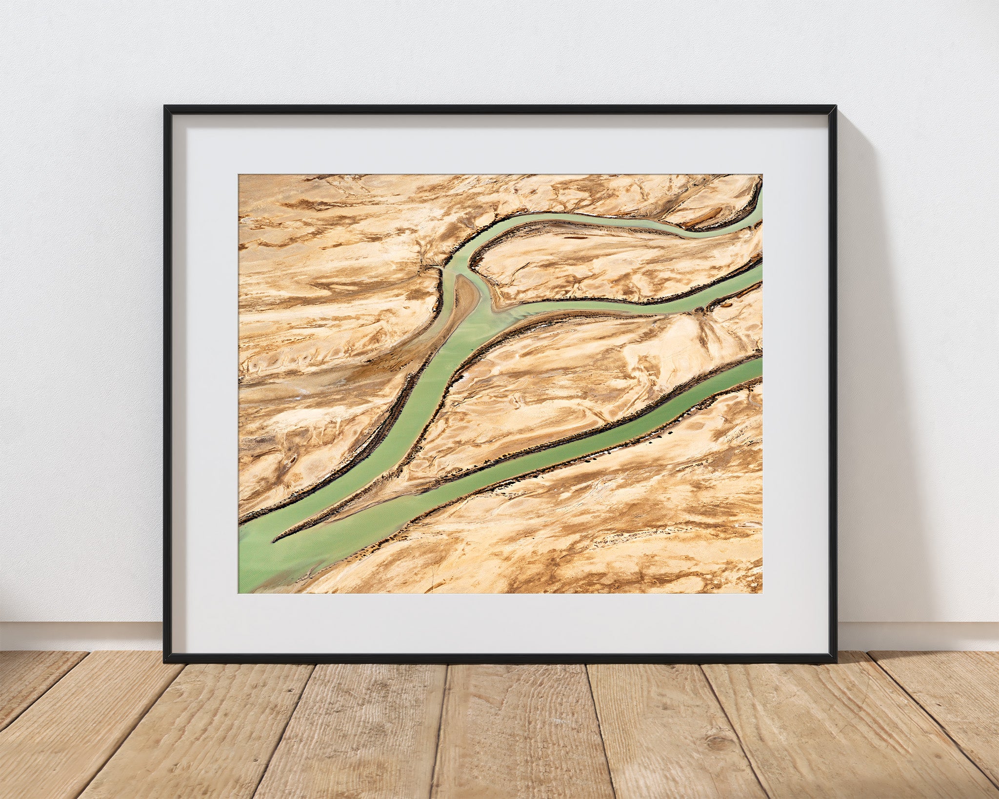 Trident – Tim Wrate Photography