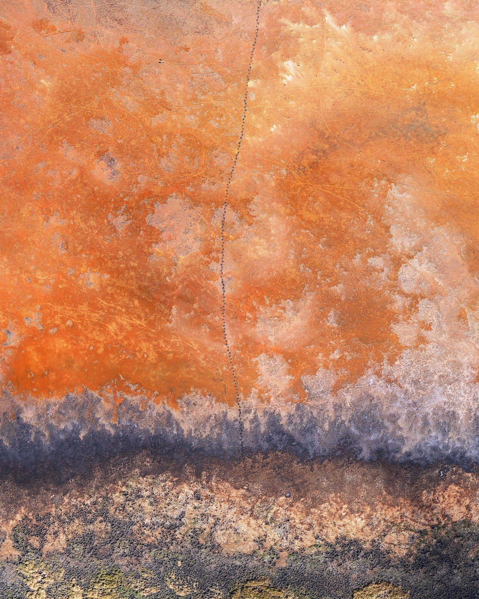 Never Walk Alone – Tim Wrate Photography